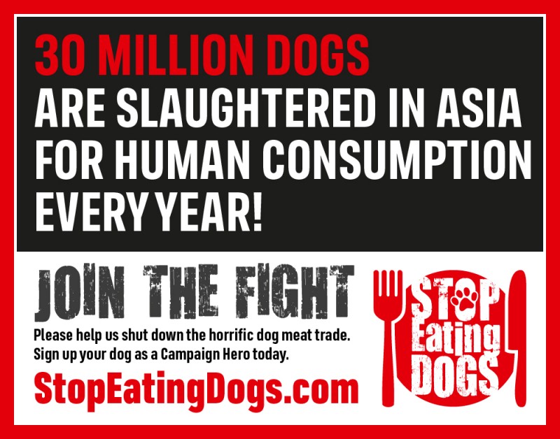 Stop Eating Dogs - DOWNLOADS