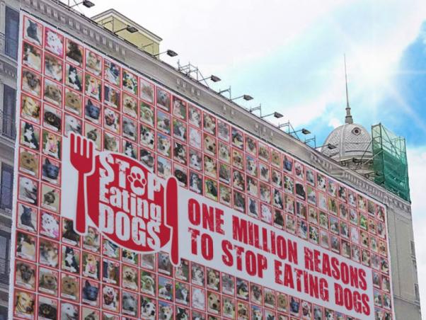 Stop Eating Dogs - Home