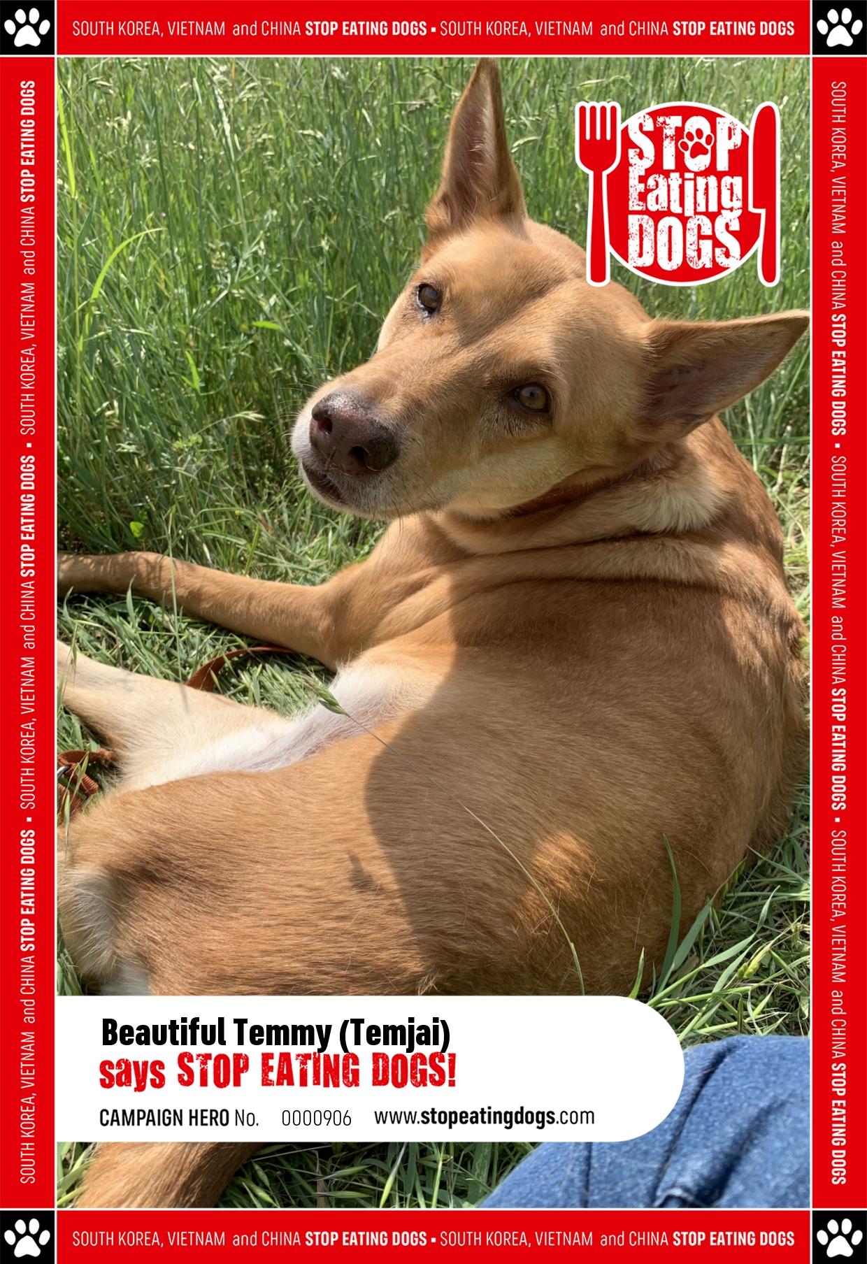 Stop Eating Dogs - Home