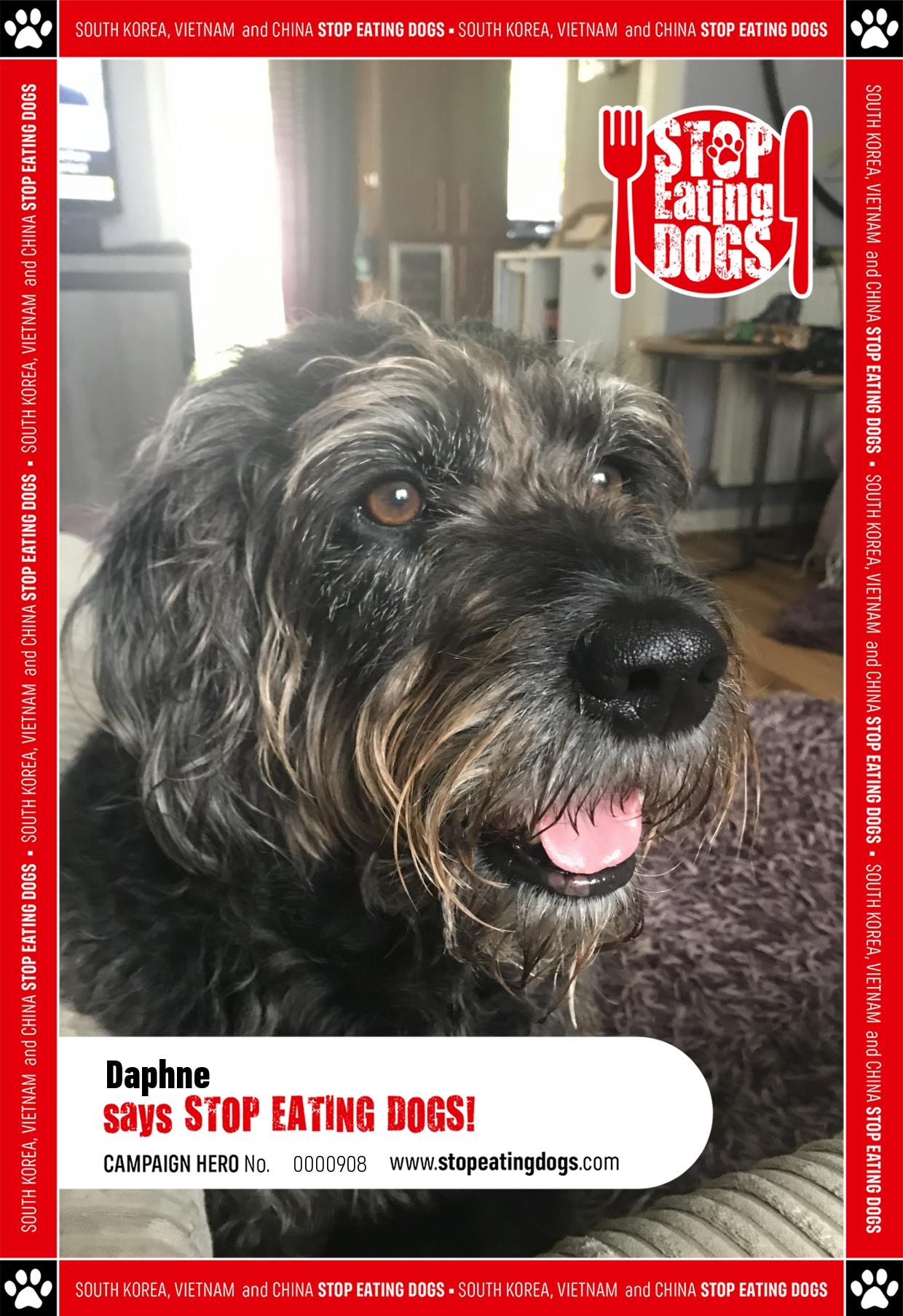 Stop Eating Dogs - Home