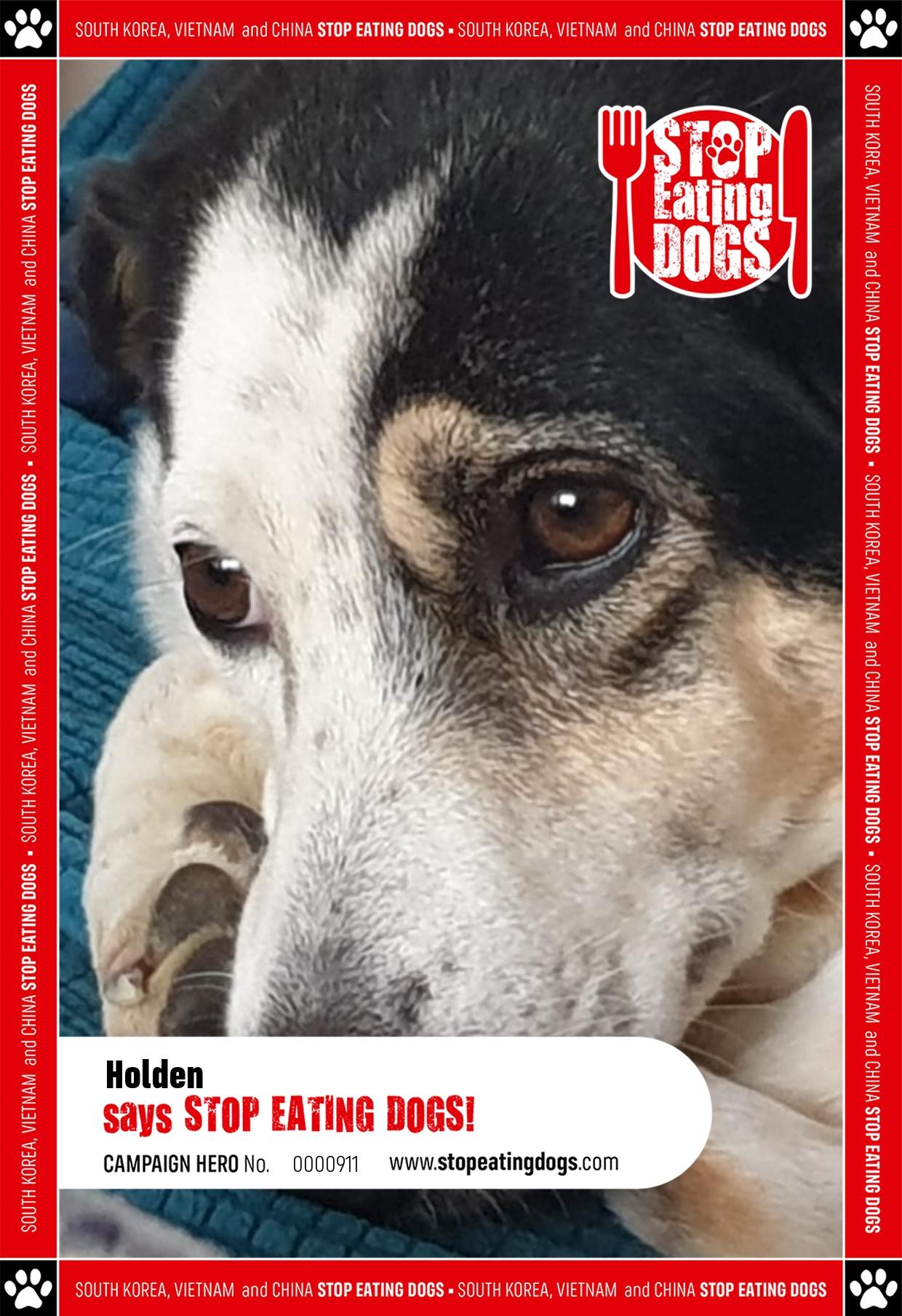 Stop Eating Dogs - Home